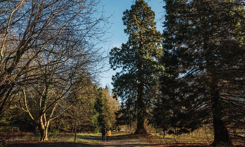 Camer Park